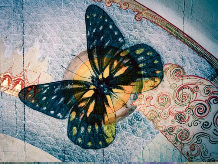 grunge butterfly image with Thai tem - Charles Taylor - Drawings ...