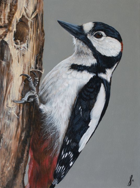 Downey Woodpecker - Janice Stouffer Art - Paintings & Prints, Animals ...