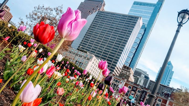 1461970500 Lessycoverjpg From Flowers X City View Photo