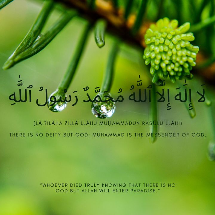 Kalimah in plant - RexAl - Digital Art & AI, Religion, Philosophy ...