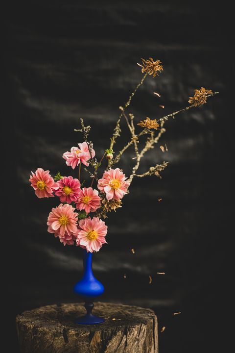 Blue Vase and Salmon - Joe Dreyer Art. - Photography, Still Life ...
