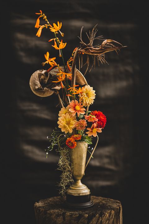 Bird of Paradise - Joe Dreyer Art. - Photography, Still Life, Floral ...