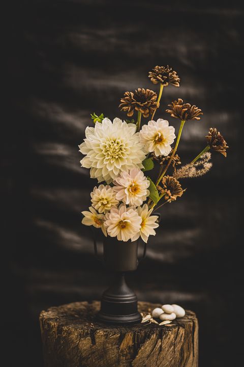 ' Black and White Champion ' - Joe Dreyer Art. - Photography, Still ...