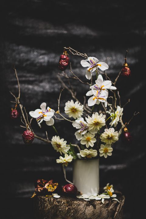 Joe Dreyer Art. - Photography