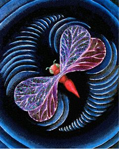 Calliope Braintree's Tarot Series - Paintings & Prints