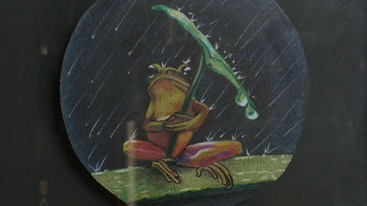 Fred The Frog - Unum Gallery - Drawings & Illustration, Animals, Birds ...