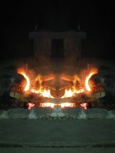 WolfMoon - Photography