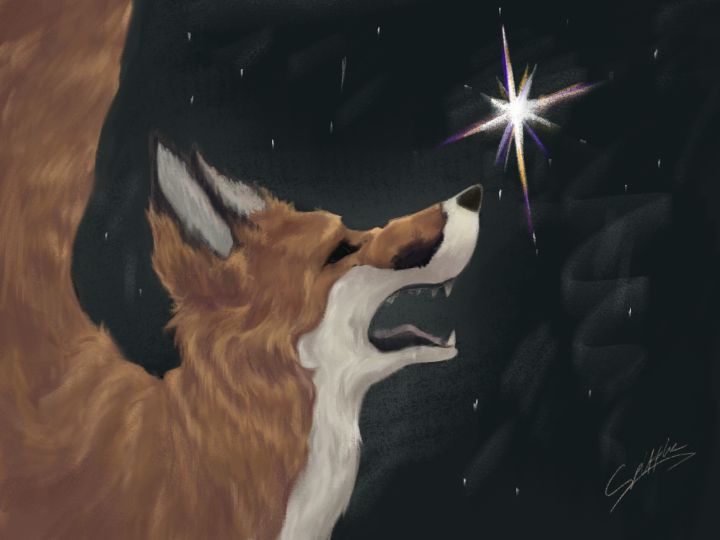 fox and stars - Spitfire - Digital Art & AI, Animals, Birds, & Fish ...