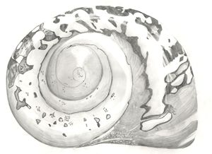 Yoga 1 - Patrick MacPherson - Drawings & Illustration, Abstract ...