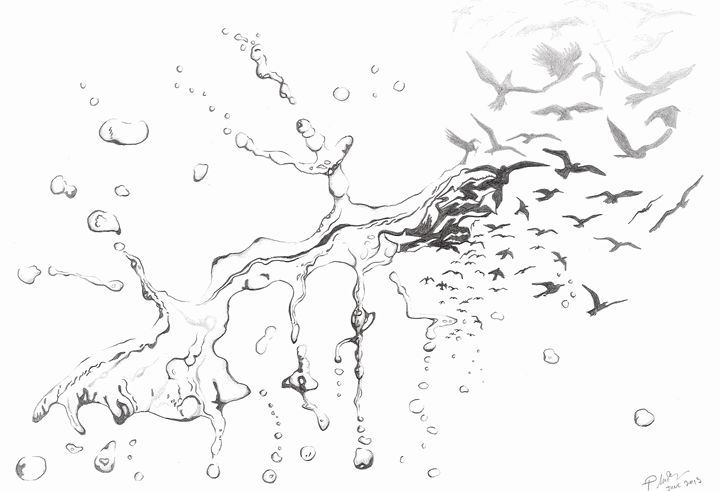 Water Birds - Patrick MacPherson - Drawings & Illustration, Animals ...