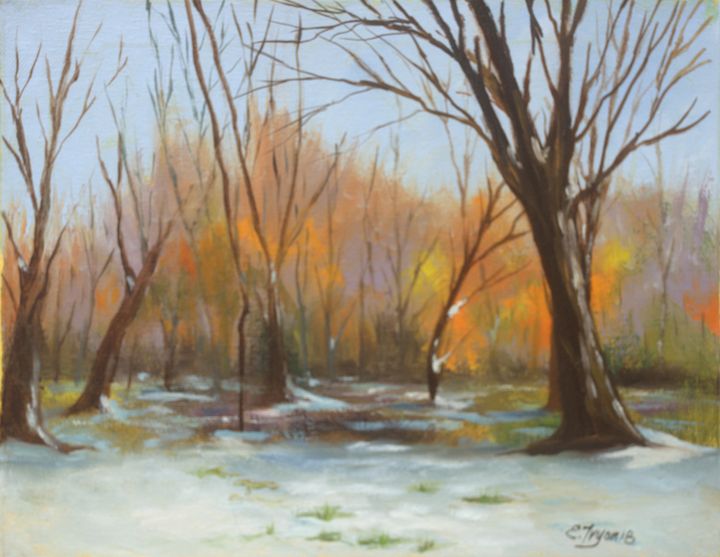 First Snow Fall - Arts d'Tryon Studio - Paintings & Prints, Landscapes ...