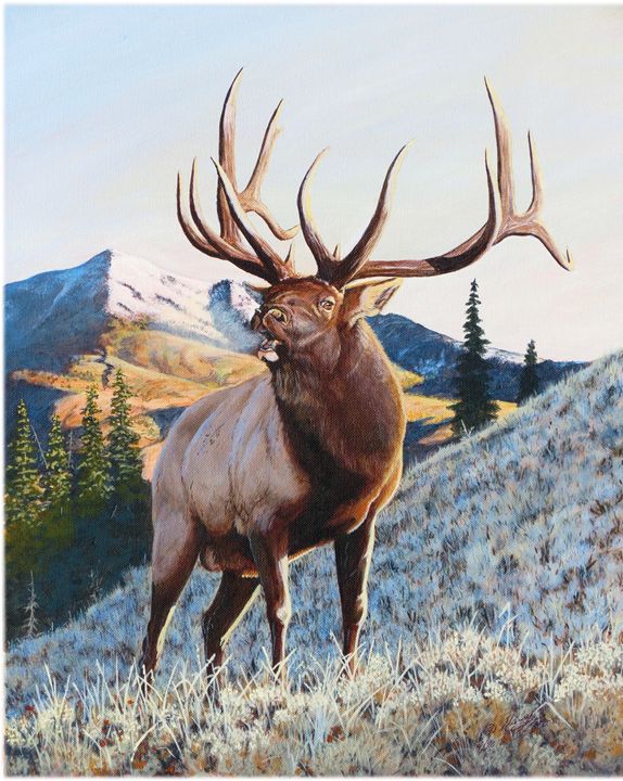 Marys River Morning - Darcy Tate Wildlife Images - Paintings & Prints ...