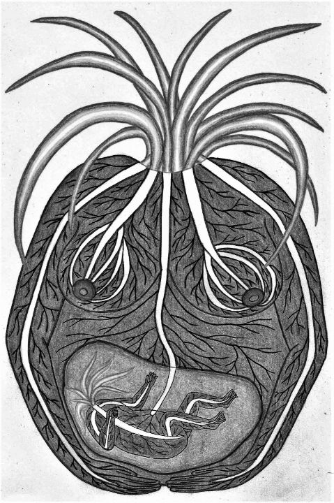 Mother Plant - Monochrome - Chloe Feint - Drawings & Illustration ...
