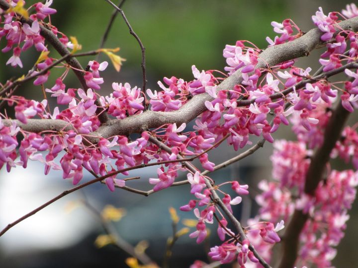 Calvin - Photography