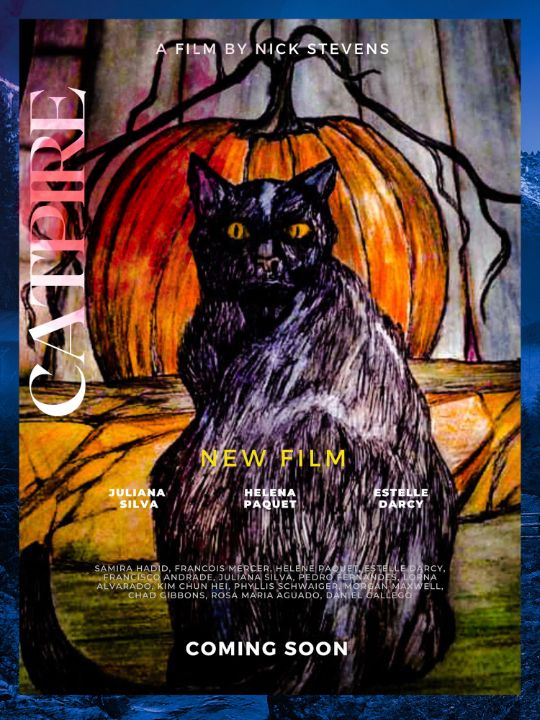 The catpire - Crypt show studio - Drawings & Illustration, Animals ...