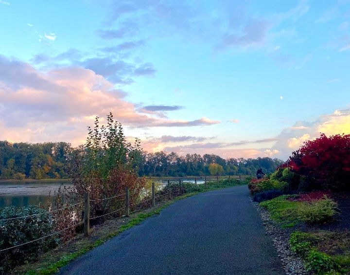The path - Bridge Gallery - Photography, Landscapes & Nature, Paths ...