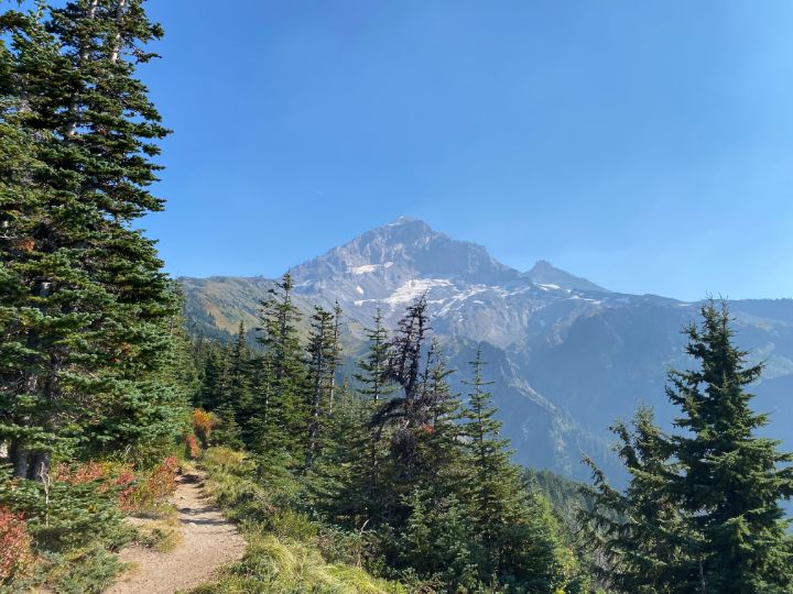 Mount Hood and trail - Bridge Gallery - Photography, Landscapes ...