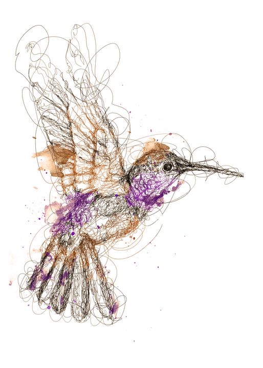 hummingbird scribbles - izmo scribbles - Drawings & Illustration ...