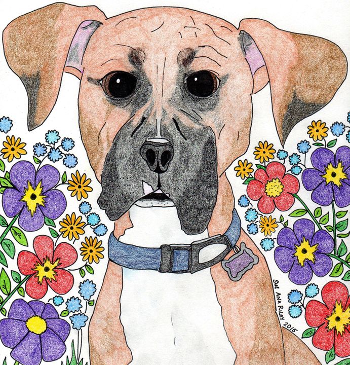 My Buddy the Boxer - Precious Paws - Drawings & Illustration, Animals ...