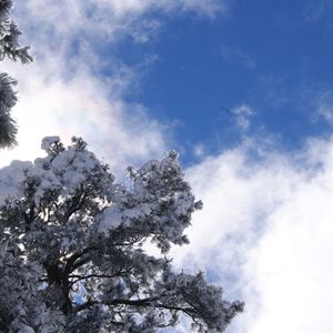 Emma Saxby - Photography