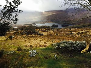 Emma Saxby - Photography