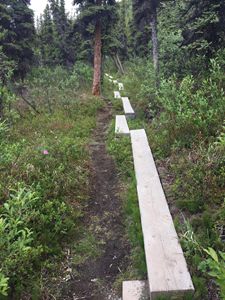 Emma Saxby - Photography