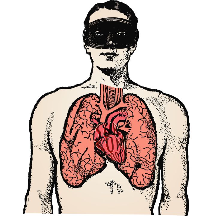 Vintage art | Carnival Mask - Cicero Spin - Drawings & Illustration ...