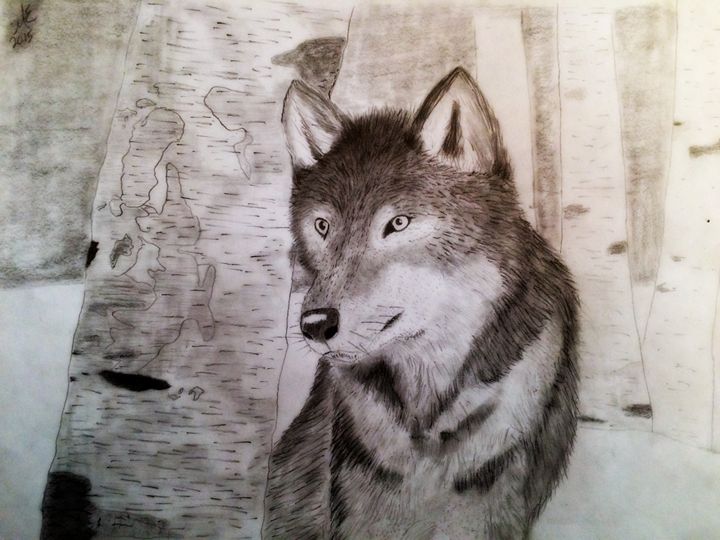 Wolf in the woods - Michael's Gallery - Drawings & Illustration ...