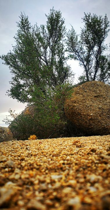 Planted Within the Rocks - Color - Myrrhanda - Photography, Landscapes ...