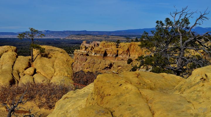 Trees and Bluffs on the Mesa - Myrrhanda - Photography, Landscapes ...