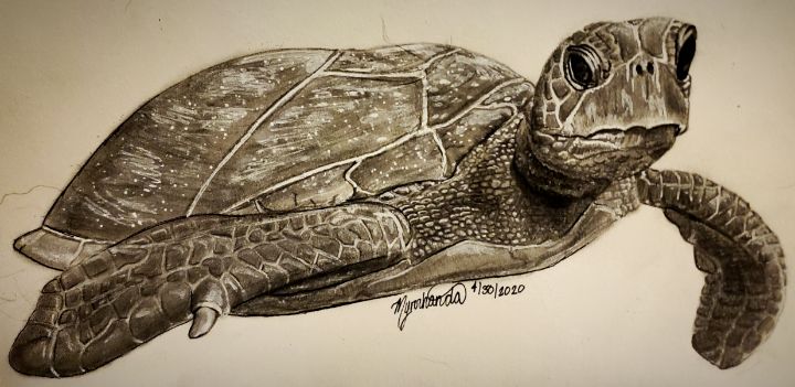 Sea Turtel - Myrrhanda - Drawings & Illustration, Animals, Birds ...