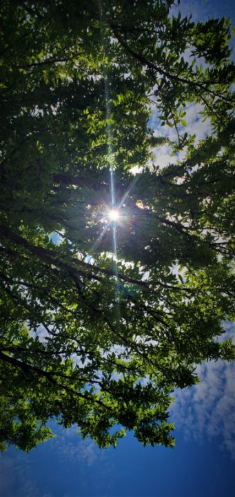 Summer Rays - Myrrhanda - Photography, Landscapes & Nature, Seasons ...