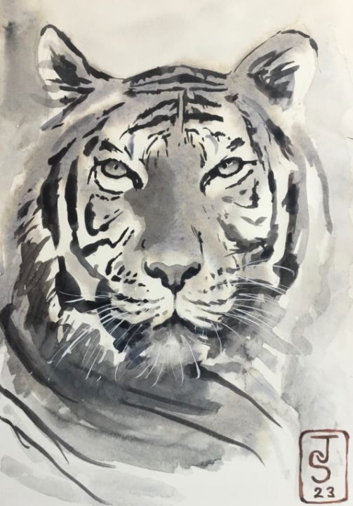 Monochrome tiger - JamesShandArtist - Paintings & Prints, Animals ...