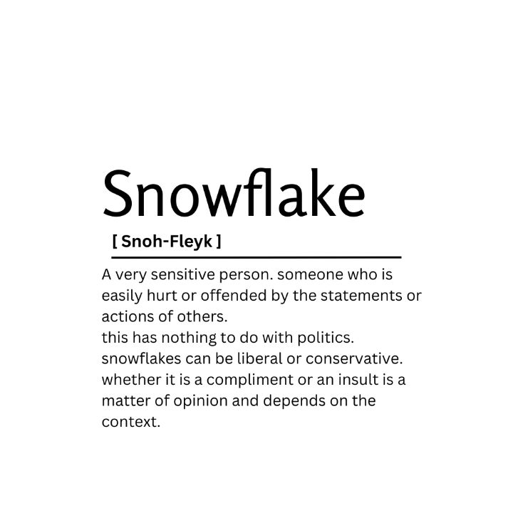 Snowflake Dictionary Definition Kaigozen Digital Art AI Humor Snowflake Dictionary Definition Kaigozen Digital Art AI Humor