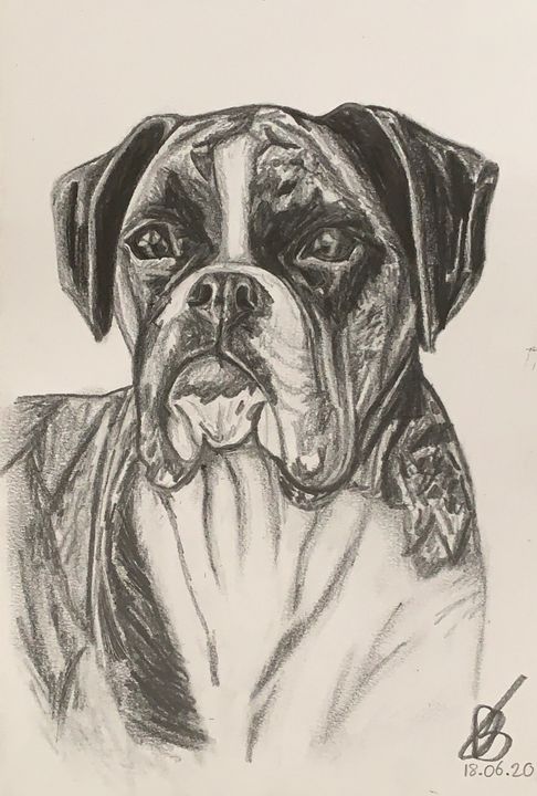 Bobbie - Bill Drury - Drawings & Illustration, Animals, Birds, & Fish ...