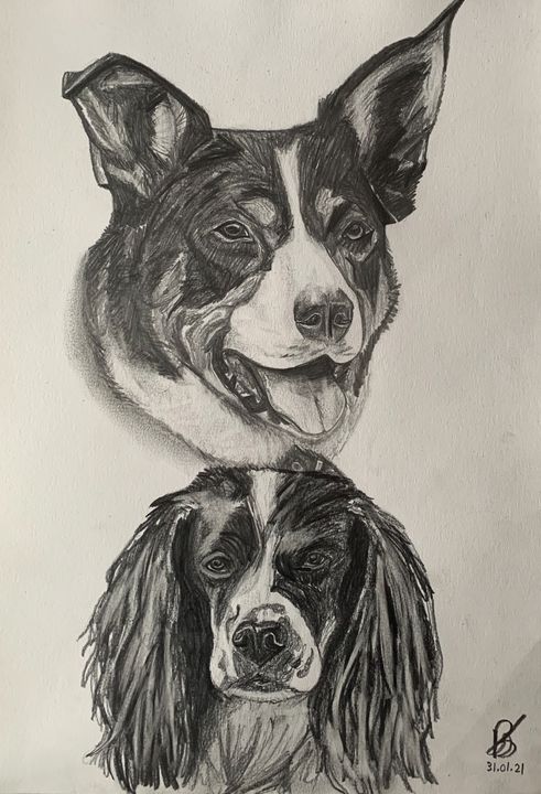 Jess and Thomas - Bill Drury - Drawings & Illustration, Animals, Birds ...