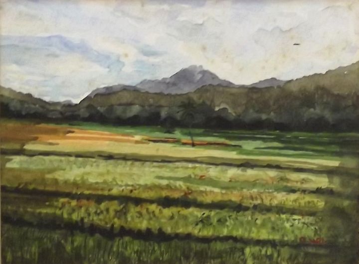 Paddy Field - Artscapes - Paintings & Prints, Landscapes & Nature ...
