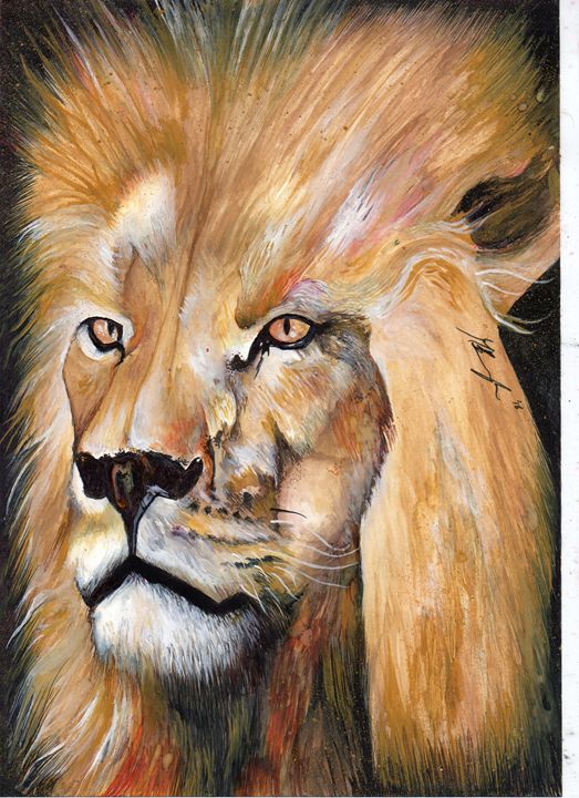 'Lion' by Michael Branagh - Michael Branagh - Paintings & Prints ...