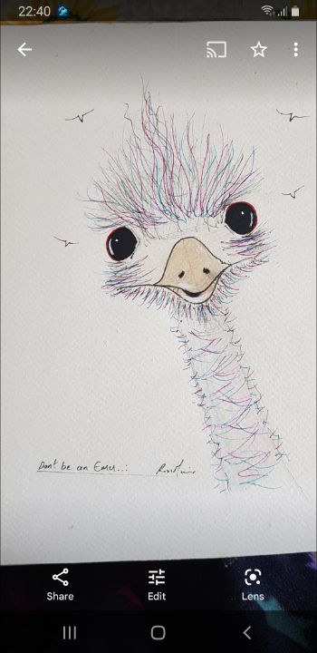 Contended - Drawings & Illustration