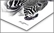 Zebra - Pointillism Art by Judy - Drawings & Illustration, Animals ...