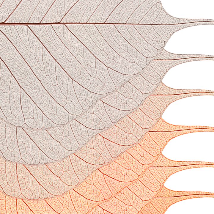 Brown-orange Gradiant Leaves - Colin Bentham - Digital Art & AI ...