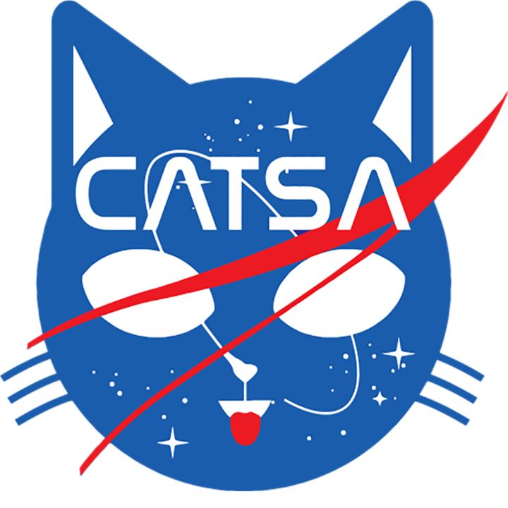 CATSA - NovaStore - Digital Art & AI, Humor & Satire, Other Humor ...
