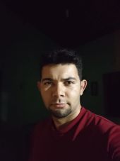 Arnold Schwarzenegger - J.Danilo - Drawings & Illustration, People ...