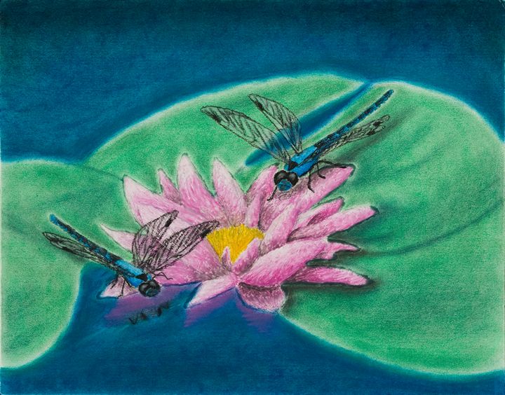 Dragonflies On Water Lily - JK Art Life - Drawings & Illustration ...