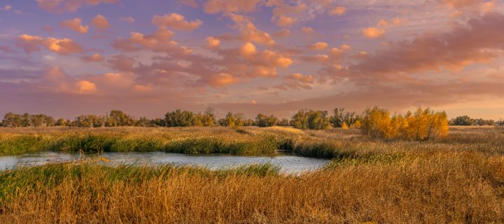 November Marsh Panorama - Frank Wilson - Photography, Landscapes ...