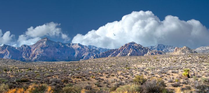 Transition Desert To Mountains - Frank Wilson - Photography, Landscapes ...