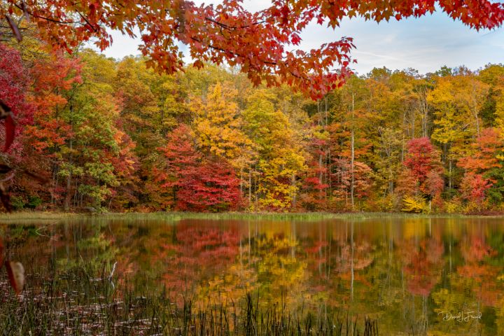 Fall scenes West Virginia on a pond - DLF Photo - Photography ...