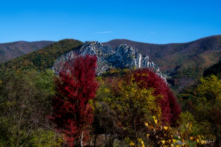Seneca Rocks in the Fall - DLF Photo - Photography, Landscapes & Nature ...