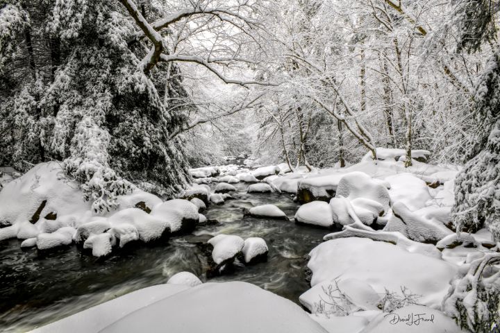 Stream flowing through a winter - DLF Photo - Photography, Landscapes ...