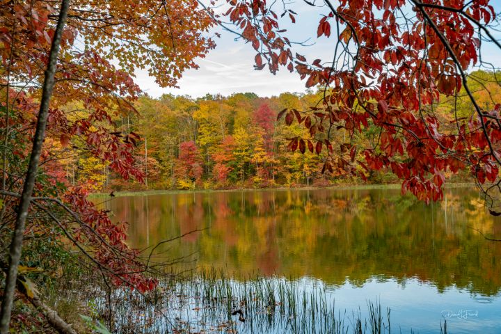 Fall scenes West Virginia on a pond - DLF Photo - Photography ...